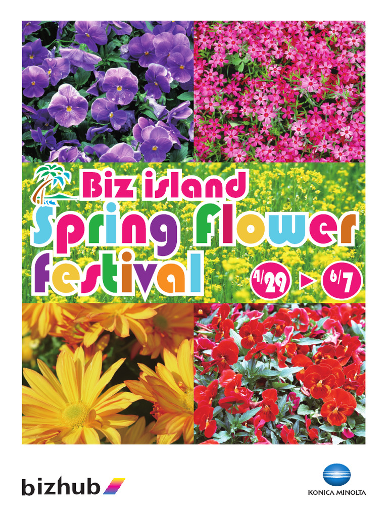 High Img Flower | PDF