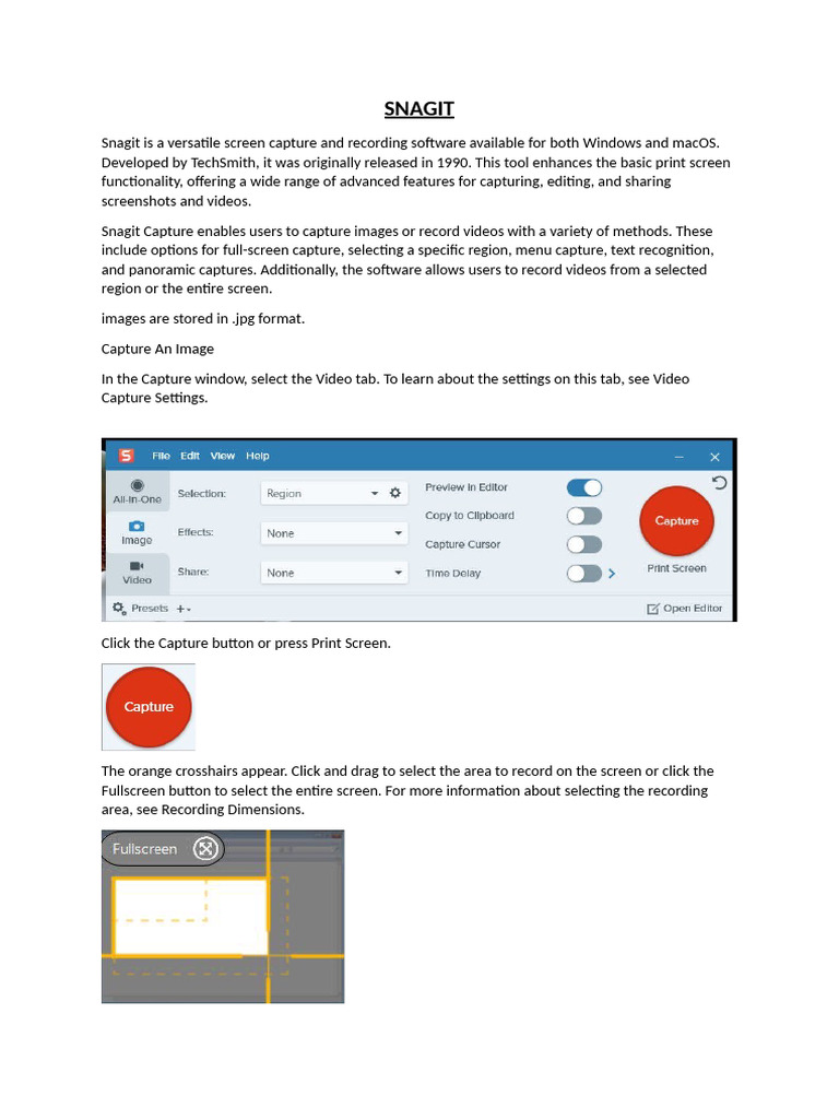 Snagit | PDF | Cursor (User Interface) | Video