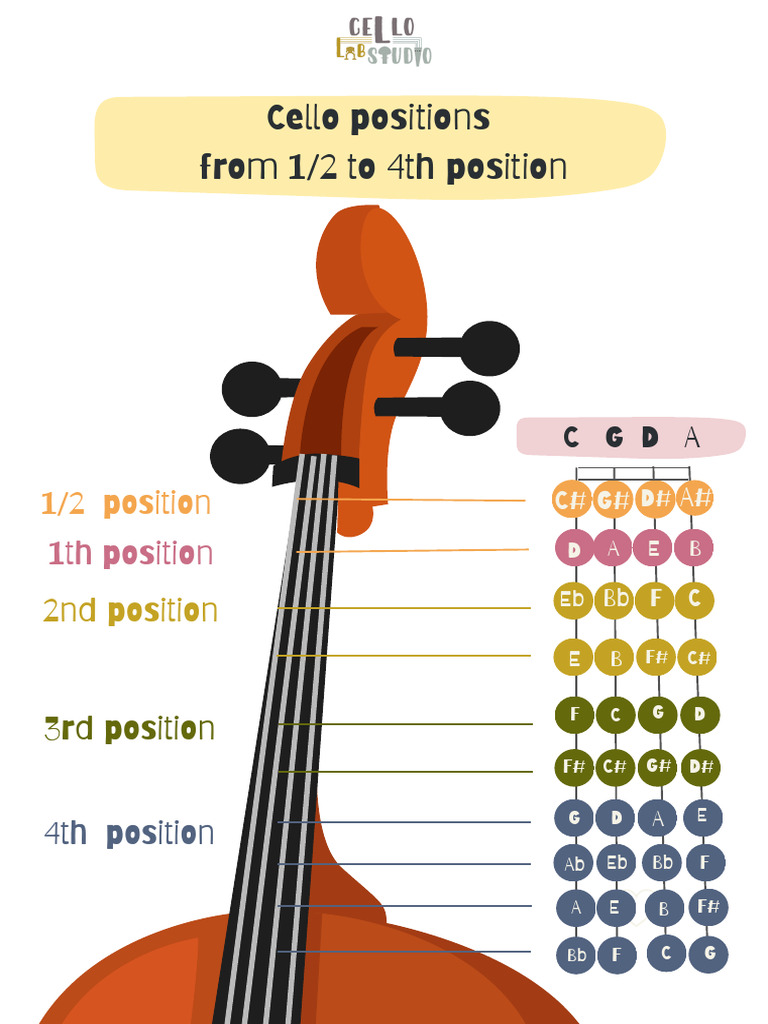 Cello Positions | PDF