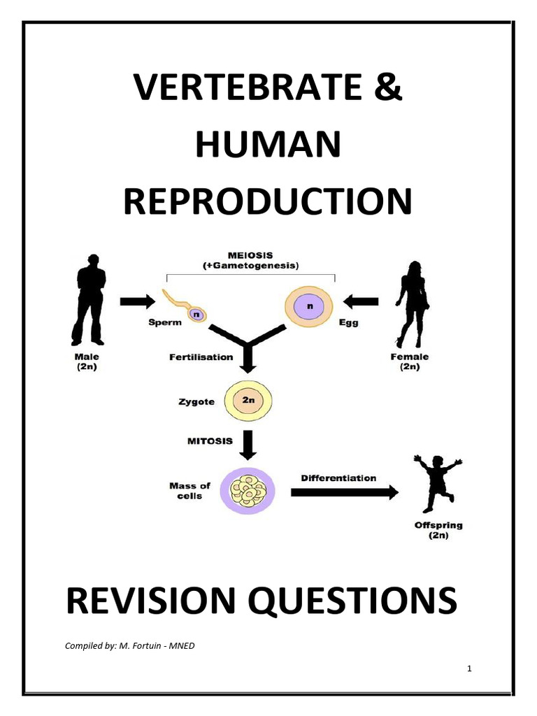Vertebrate and Human Reproduction - 2018 | PDF | Fertilisation ...