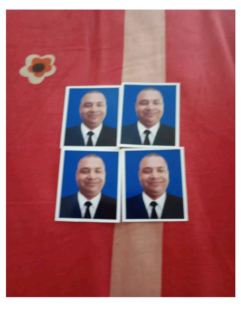 PDFGallery 20250305 162835 | PDF