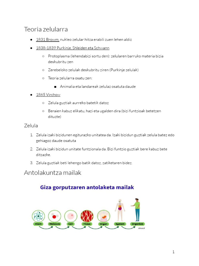 Zelula, Apuntek | PDF