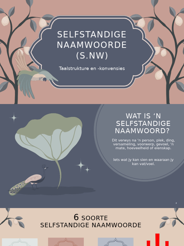 Selfstandige Naamwoorde | PDF