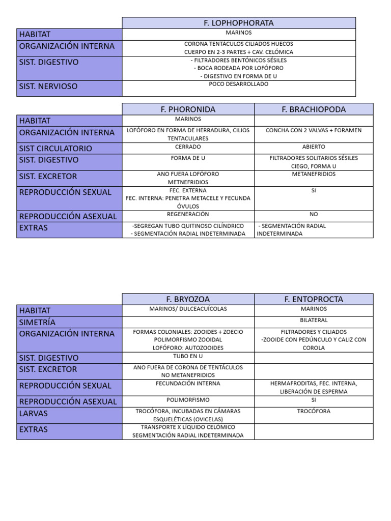Tabla Tema 9 | PDF | Phyla animal | Biología
