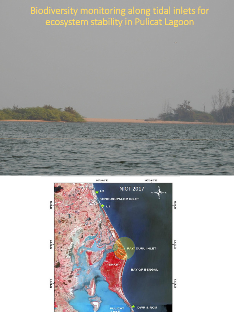 Biodiversity monitoring in tidal inlets for ecosystem stability in ...