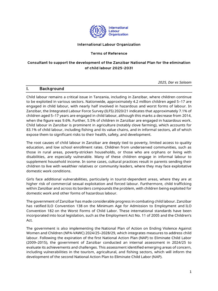 ToRs-ZNZ-NAP-Consultant.final | PDF | International Labour Organization | Child Labour
