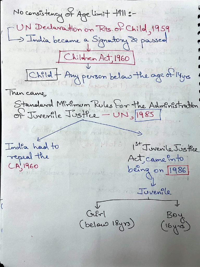 RJS CC - JJ Act - Lecture 2 | PDF