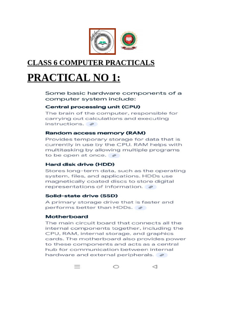 Class 6 Computer Practicals | PDF