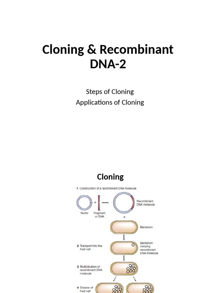 Lec-6 Cloning & RDNA-2 & CDNA | PDF | Complementary Dna | Molecular Cloning