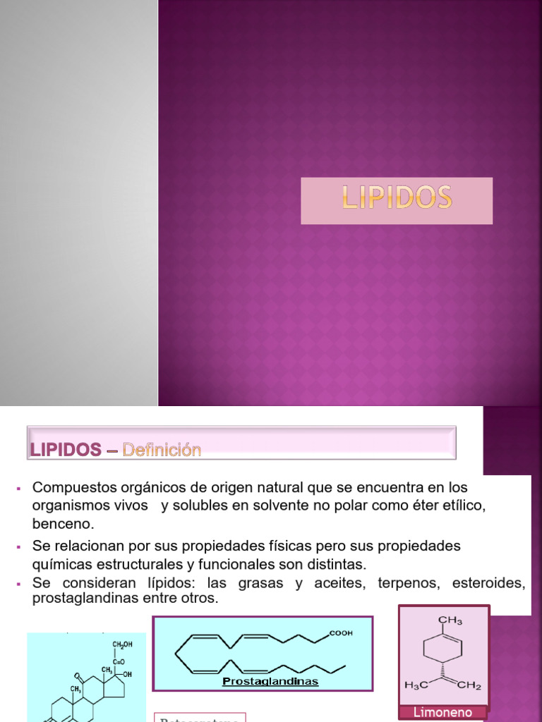Propiedades y Funciones de los Lípidos | PDF | Lípido | Ácido graso