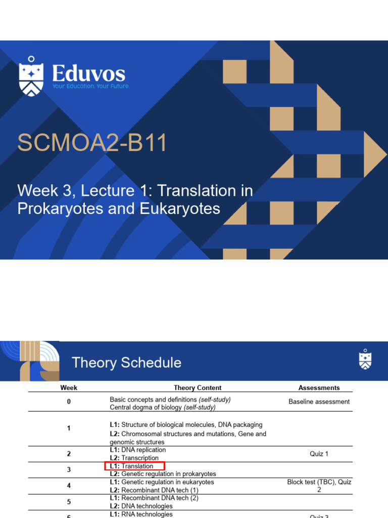 SCMOA2 Week 3 Lecture 1 Student | PDF | Translation (Biology) | Messenger Rna