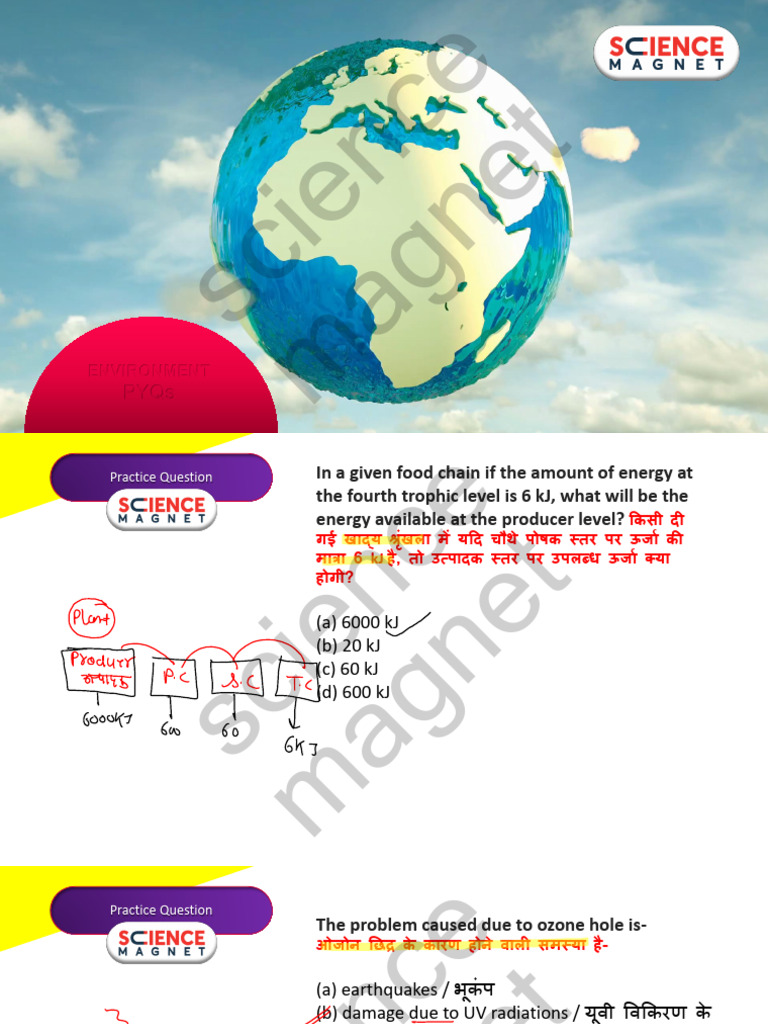 Magnet Science: Environment | PDF