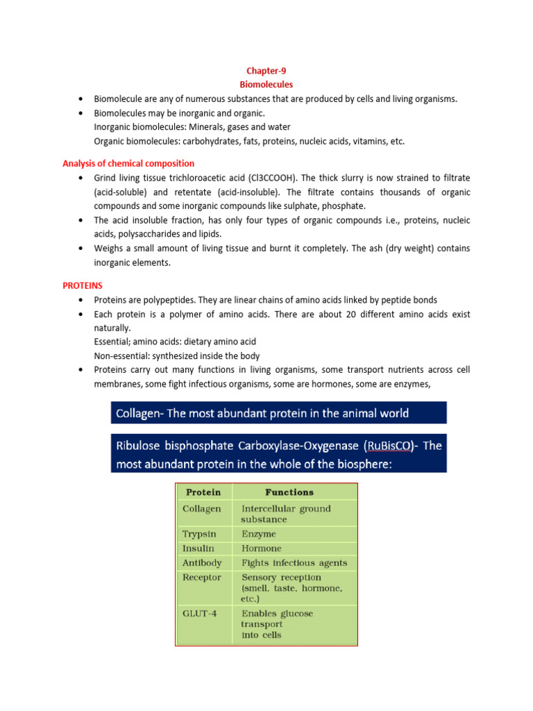 Overview of Biomolecules and Their Functions | PDF | Enzyme | Cofactor ...