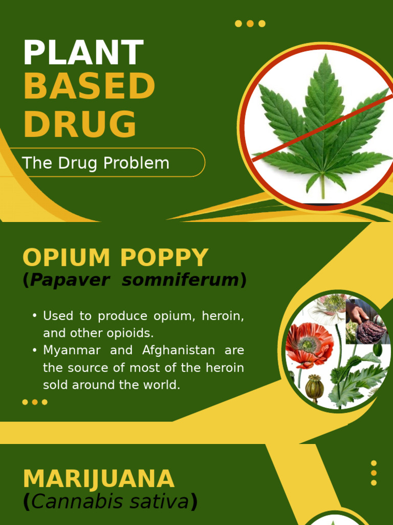 Plant Based Drugs | PDF