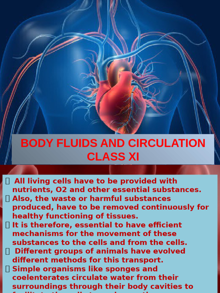 Body Fluid and Circulation | PDF