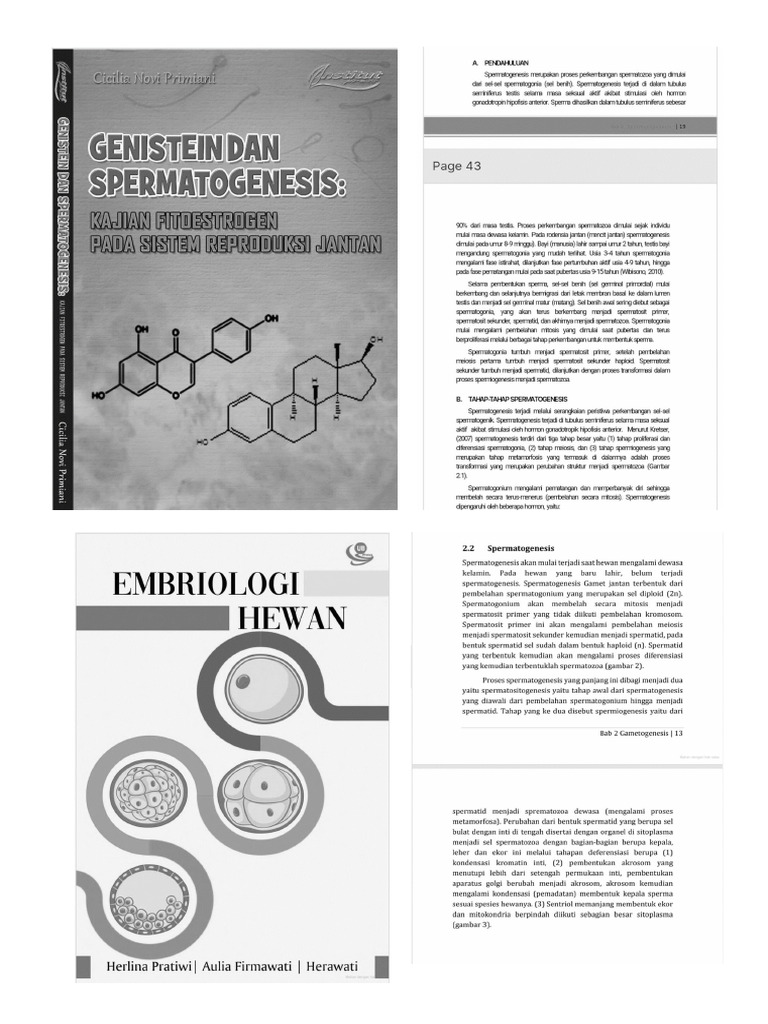 Lampiran Embrio 1 | PDF