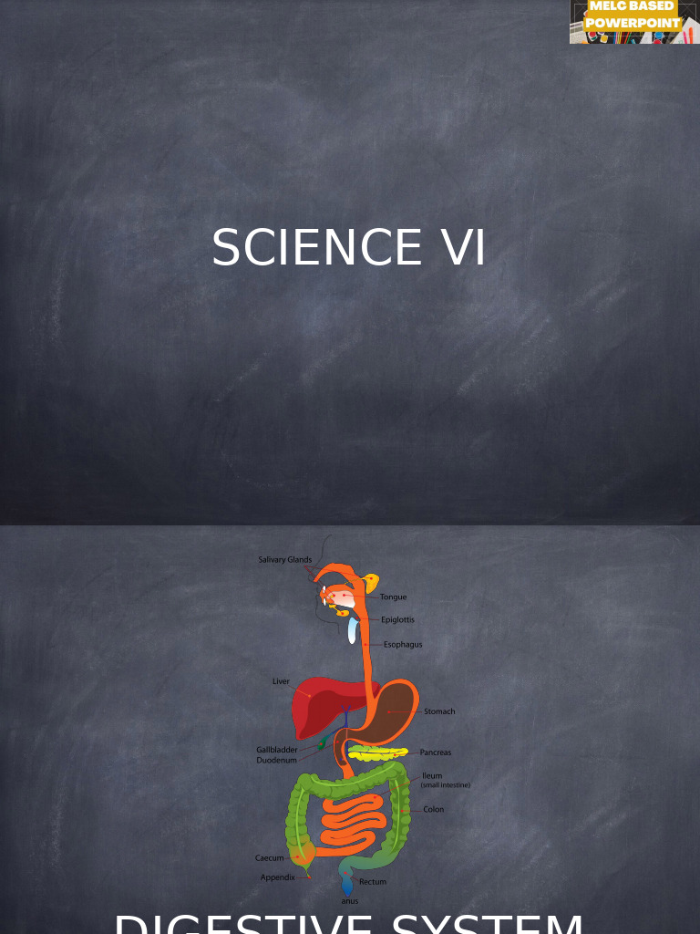 G6 Q2 Week 1-3 Digestive System | PDF