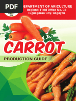 Carrot | PDF