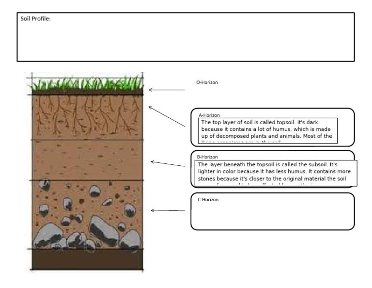 Soil Profile Worksheet | PDF