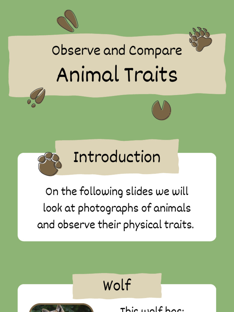 Colourful Observe and Compare Traits in Animals Science Activity ...