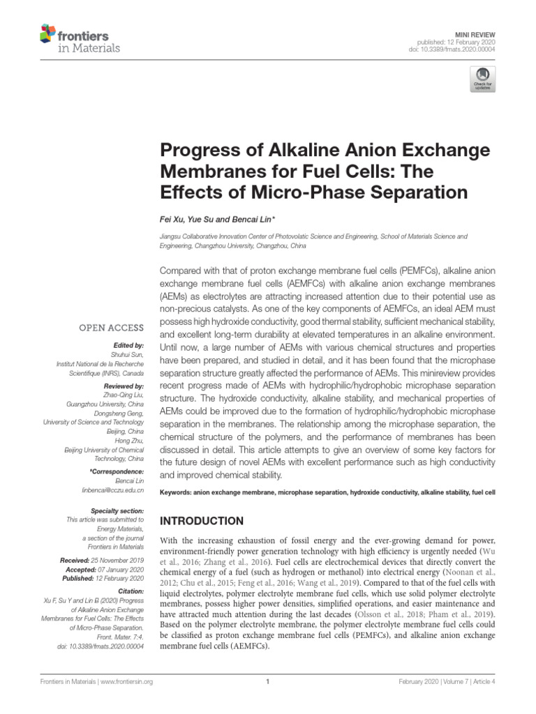 Progress of Alkaline Anion Exchange Membranes For Fuel Cells - The ...