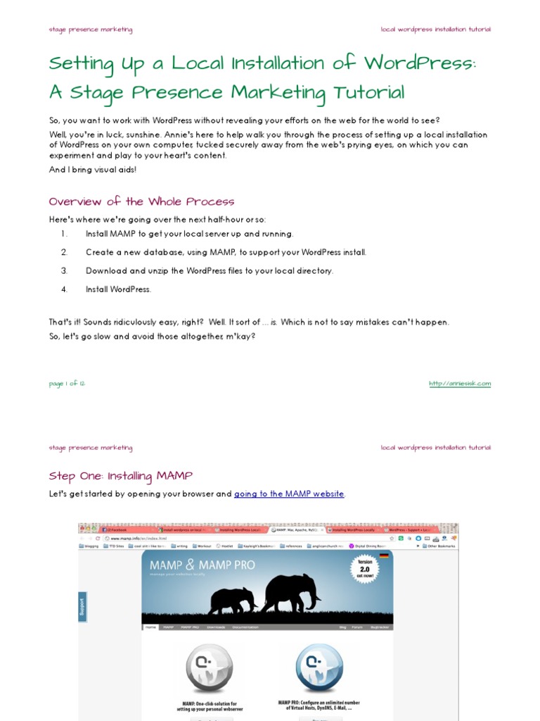 Local WordPress Setup Guide | PDF | Word Press | Web Browser
