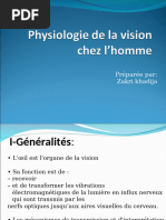 Anatomie de la Conjonctive Oculaire | PDF | Cornée | Épithélium