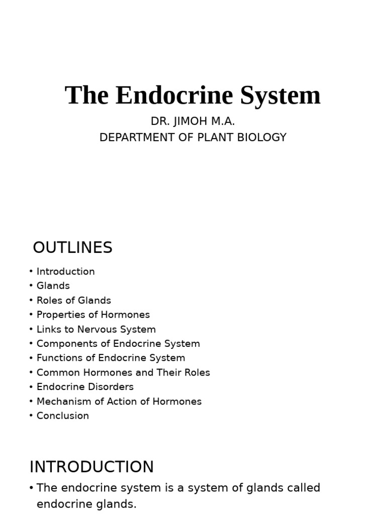 Overview of the Endocrine System | PDF | Hormone | Endocrine System