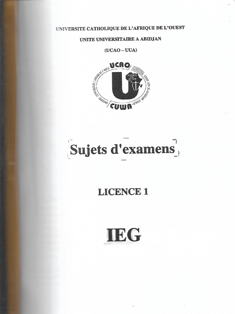 Sujet D'examen Ieg | PDF