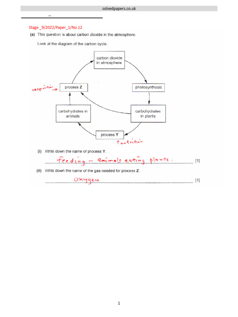 2023 22 Carbon Cycle Checkpoint Sec 1 Progression Stage 9 Solvedad | PDF