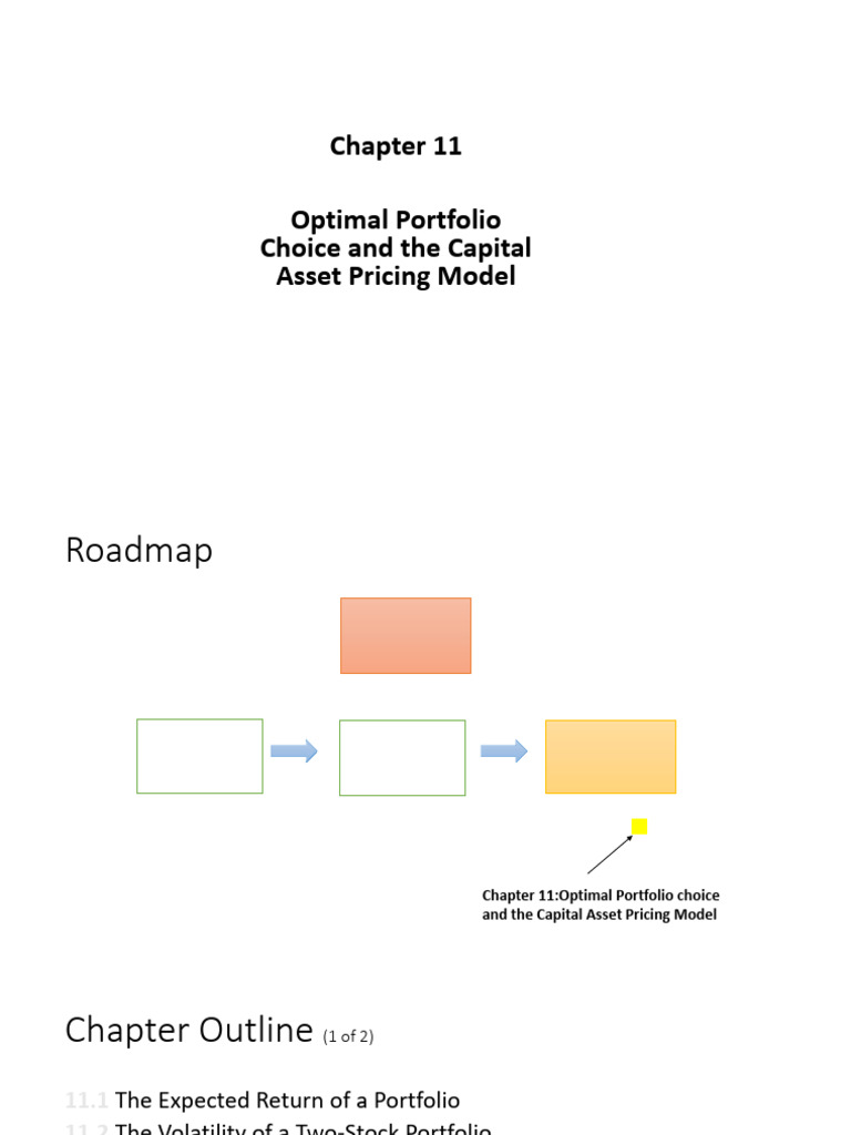 Optimal Portfolio Choice & CAPM Overview | PDF | Capital Asset Pricing Model | Diversification ...