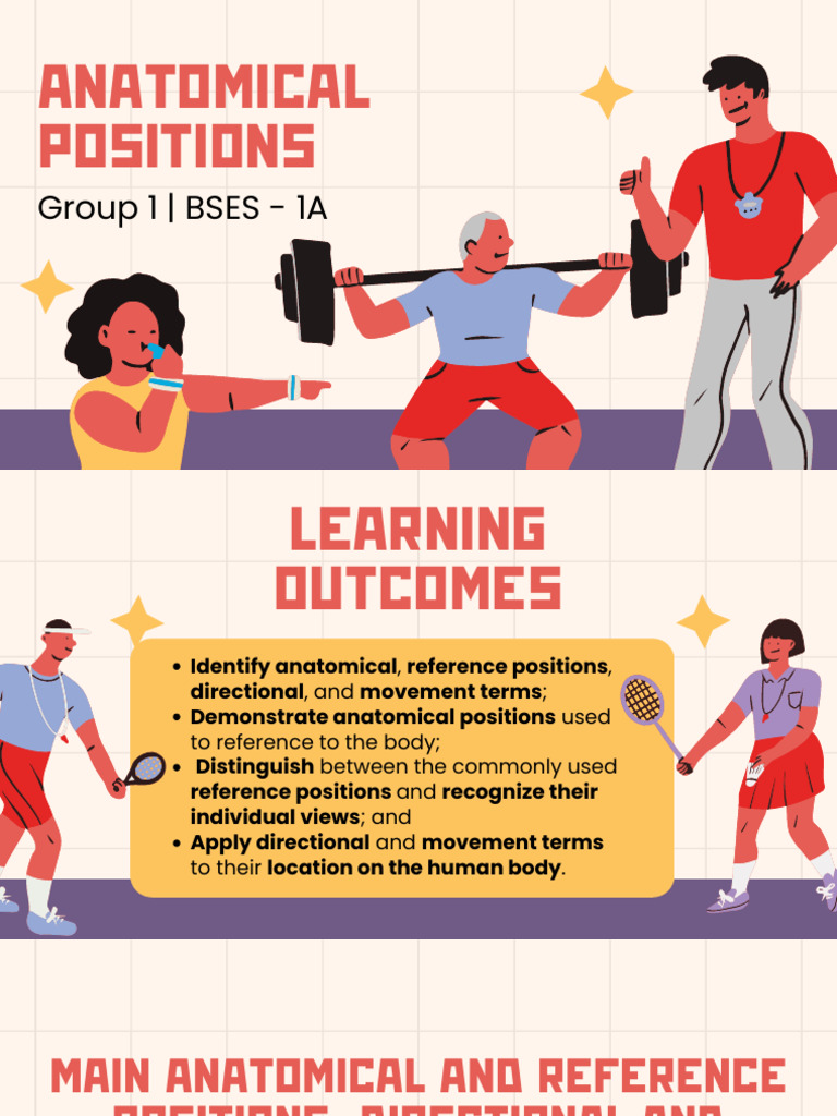 Anatomical Positions and Movements Guide | PDF | Anatomical Terms Of ...