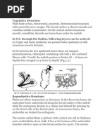 Types of Aestivation in Flowers | PDF | Petal | Plants