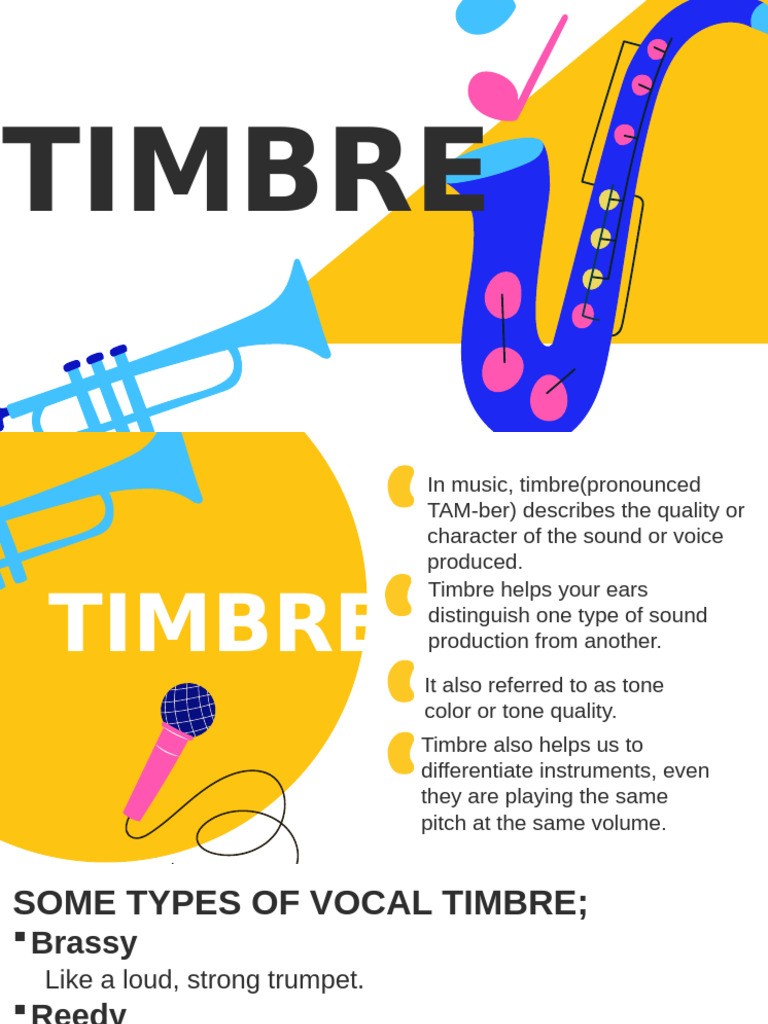 Understanding Musical Timbre and Its Types | PDF