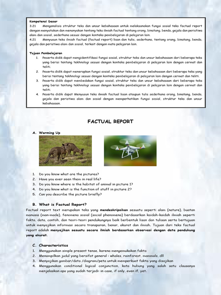 Factual Report | PDF