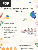 Amoeba Sisters Mitosis Overview | PDF | Mitosis | Systems Biology