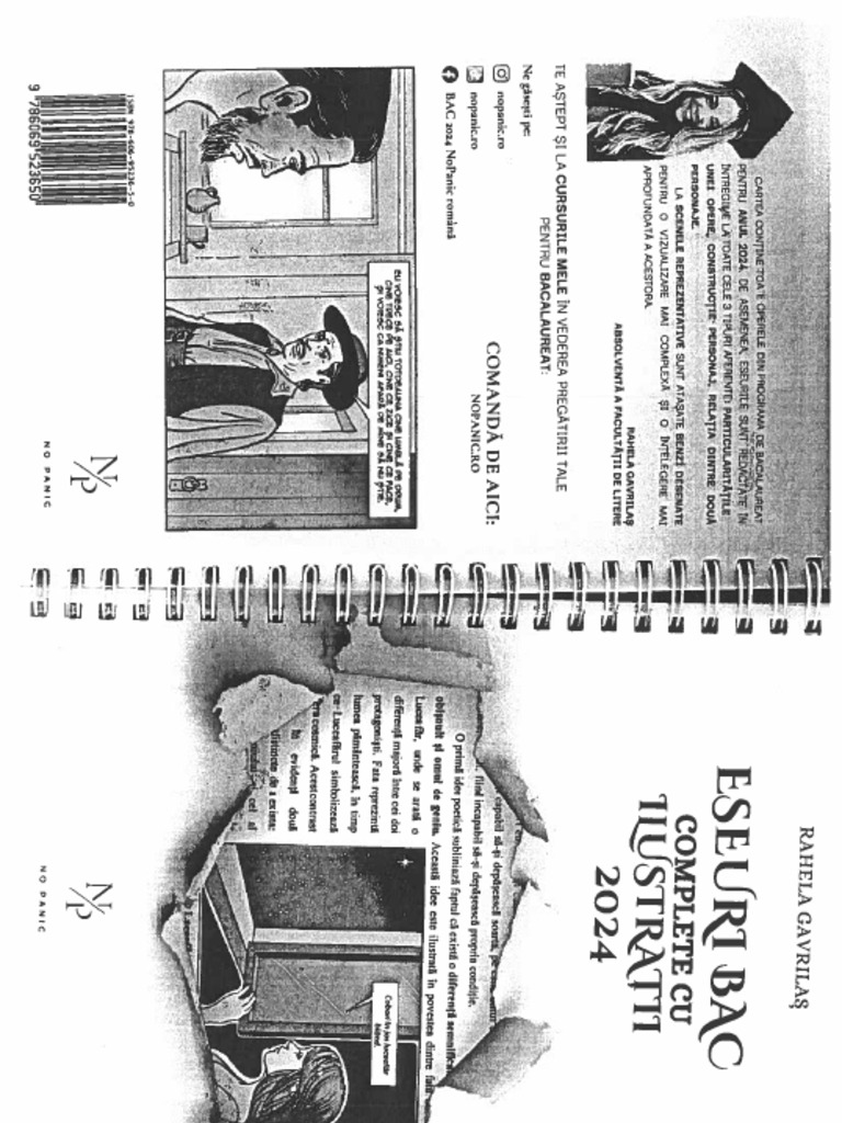 Eseuri Bac | PDF