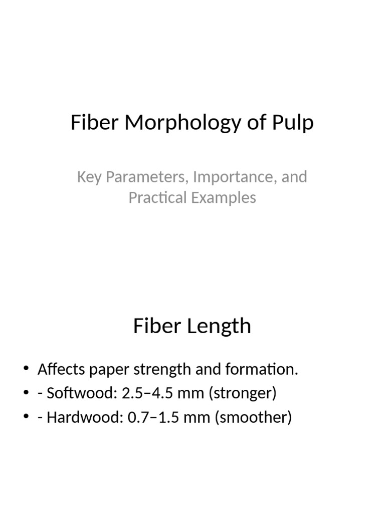 Fiber Morphology in Pulp Analysis | PDF