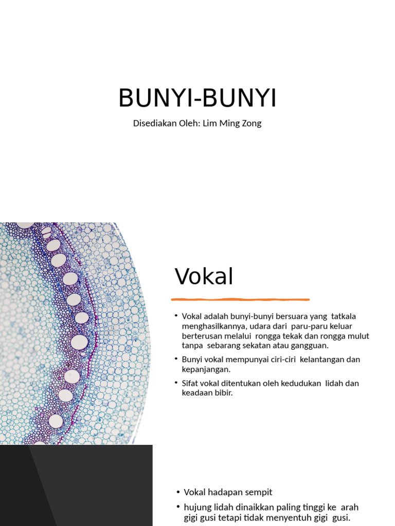 Bunyi Vokal | PDF
