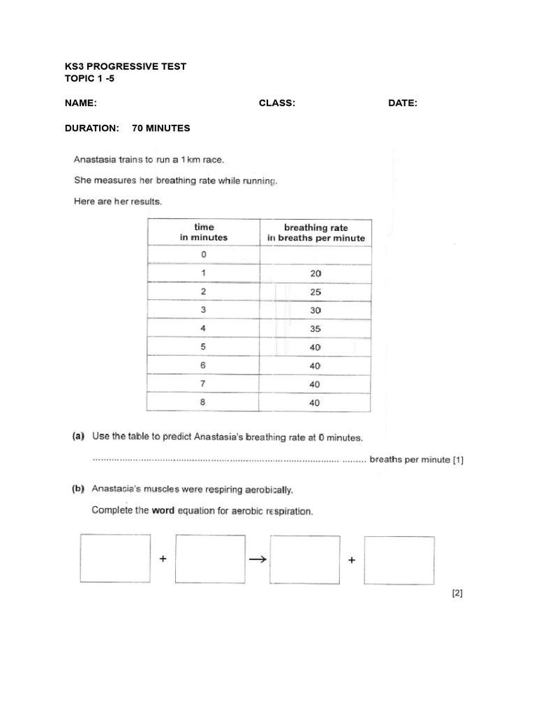 KS3 Progressive Test 1 | PDF