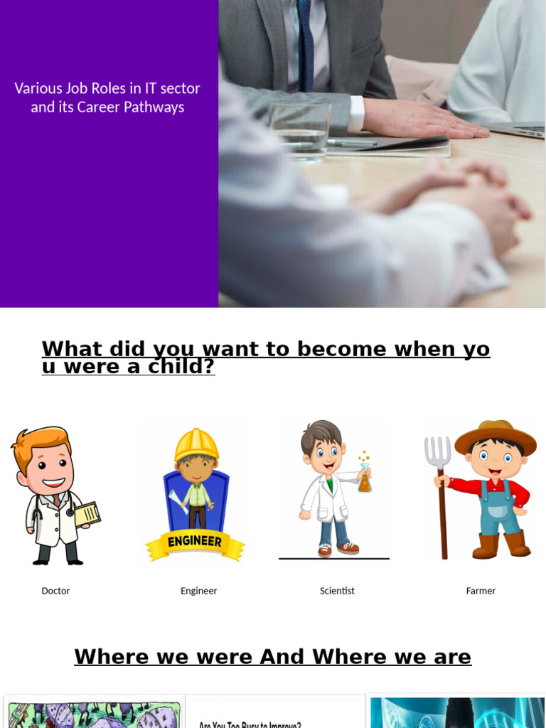 Various Job Roles in IT sector and its Career Pathways (1) | PDF