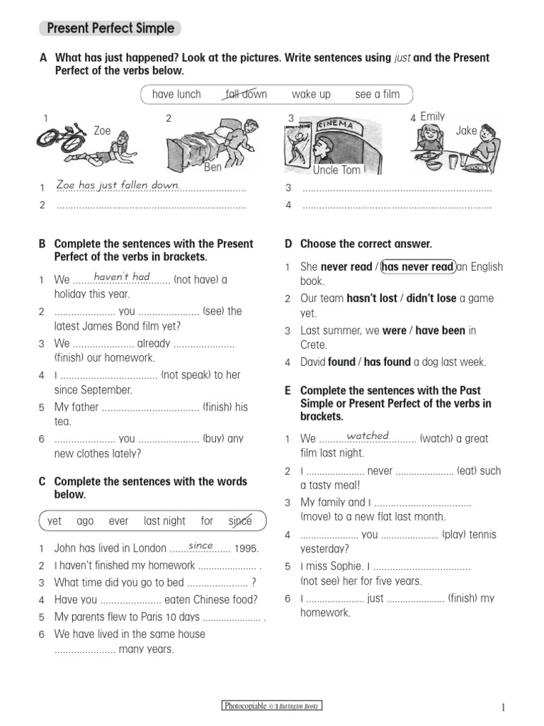 038 Grammar PresentPerfect1 18851 Worksheet | PDF | Language Families ...