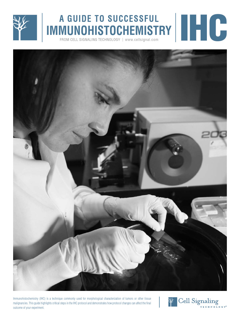 Application Immunohistochemistry Guide | PDF | Immunohistochemistry | Fixation (Histology)