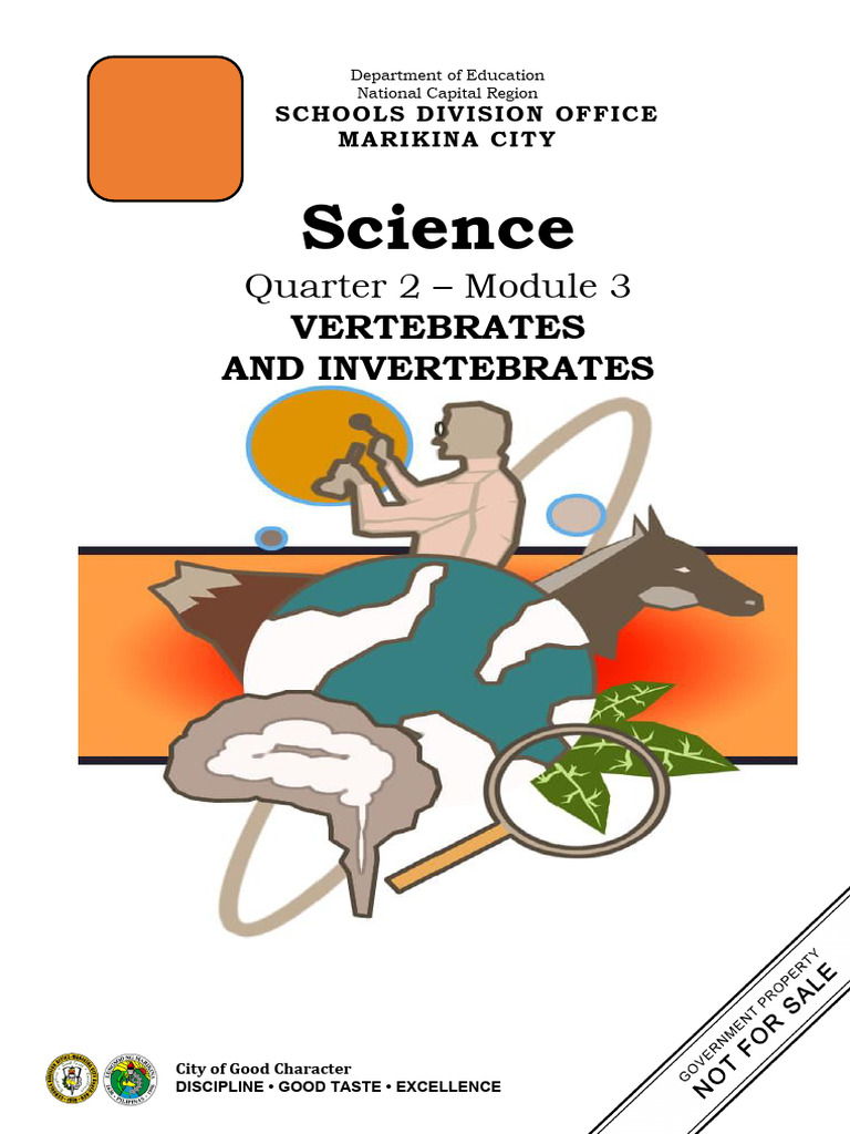 Science 6 Vertebrates and Invertebrates | PDF | Invertebrate | Insects