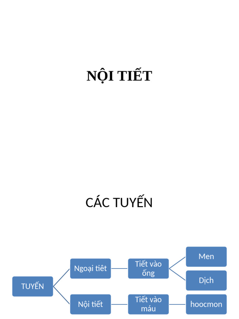 noi tiet | PDF