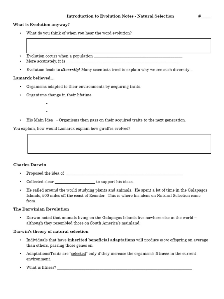 Intro To Evolution Notes - Natural Selection 2024 | PDF | Evolution ...