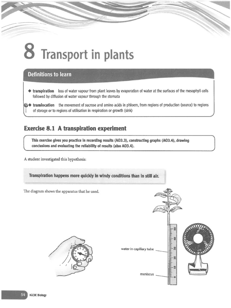 Kami Export - FABIANA MARIE DURAN LOPEZ - Transport in plants Workbook ...