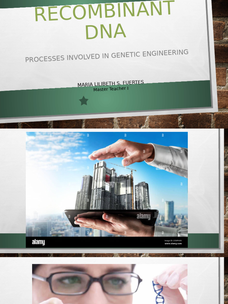 Genetic Engineering | PDF | Genetics | Genetic Engineering