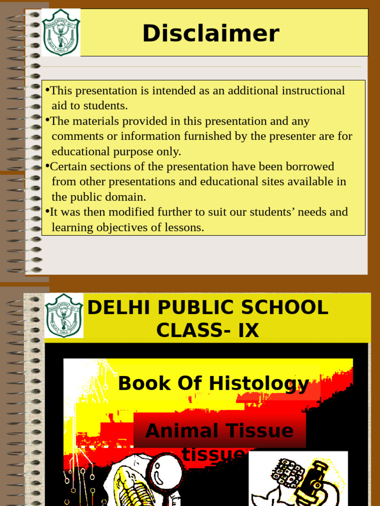 Class 9 - Bio - PPT 1 of 4 - Ls No. 6 - Animal Tissue | PDF ...