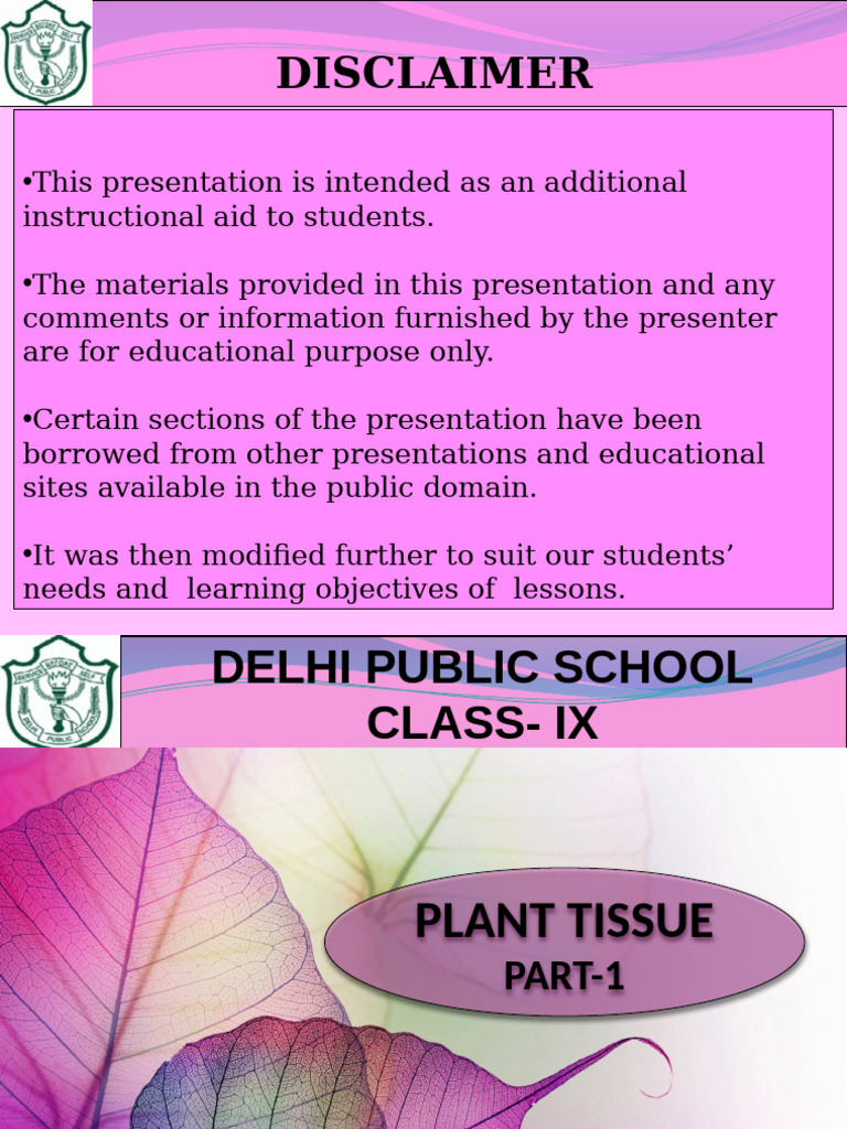 Class 9 - Bio - PPT 1 of 4 - Ls No. 6 - Plant Tissue | PDF | Plant Stem ...